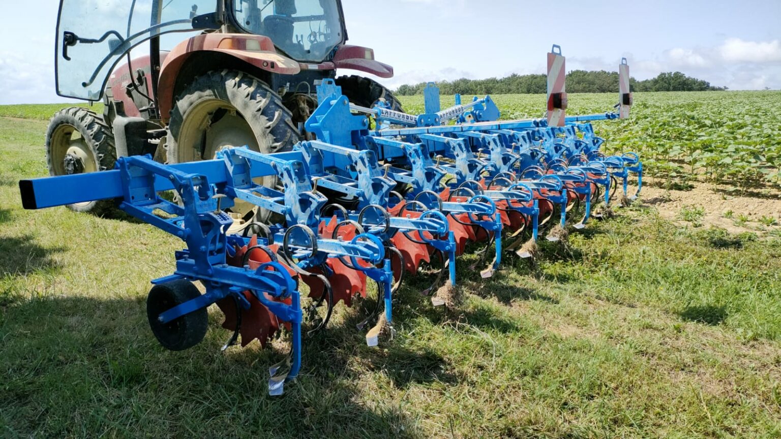 Ets Lafforgue. Bineuse Monosem Multicrop 9 corps à vendre. Spécialiste